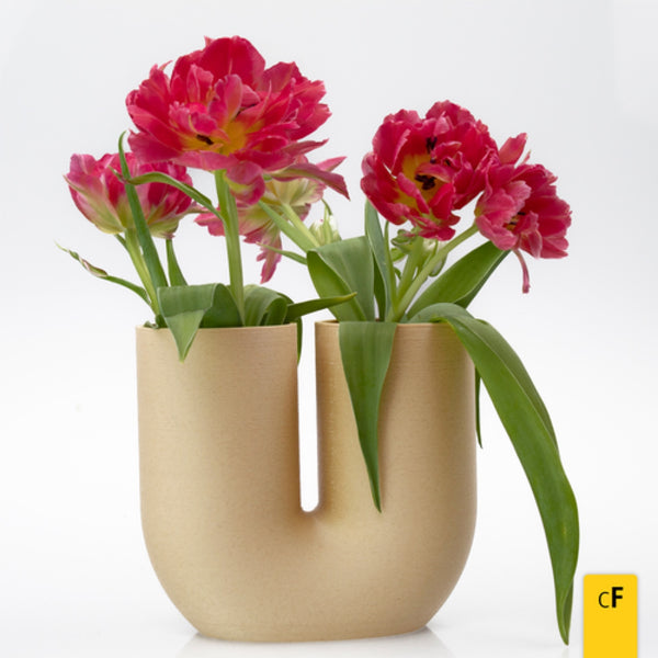 ColorFabb WoodFill Filament | 3D Universe